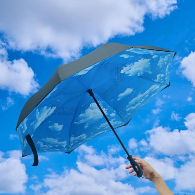 Bold, Colorful, Patterned Umbrellas – Colors and Patterns for Every Mo ...